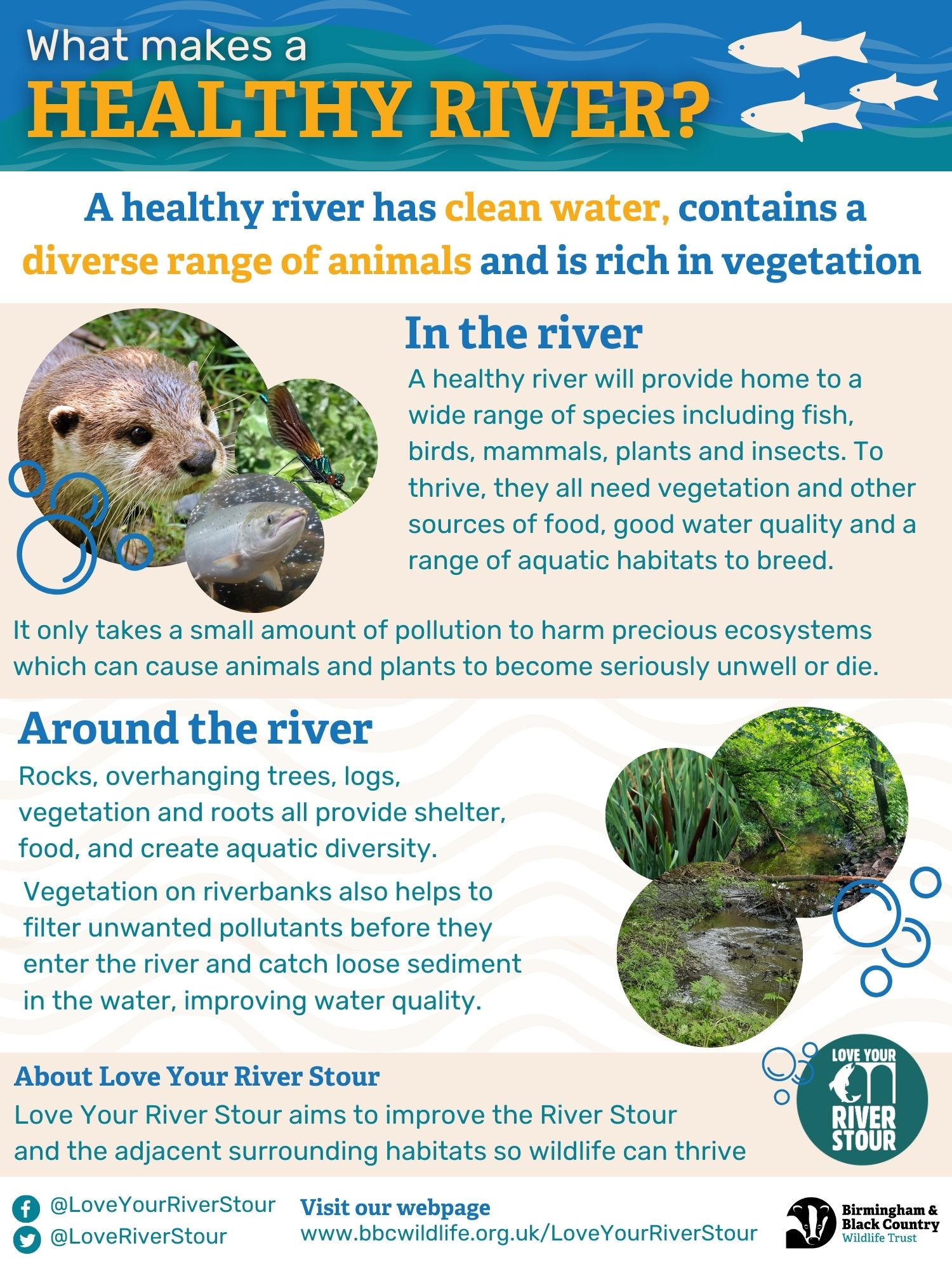 Love Your River Stour | Birmingham & Black Country Wildlife Trust